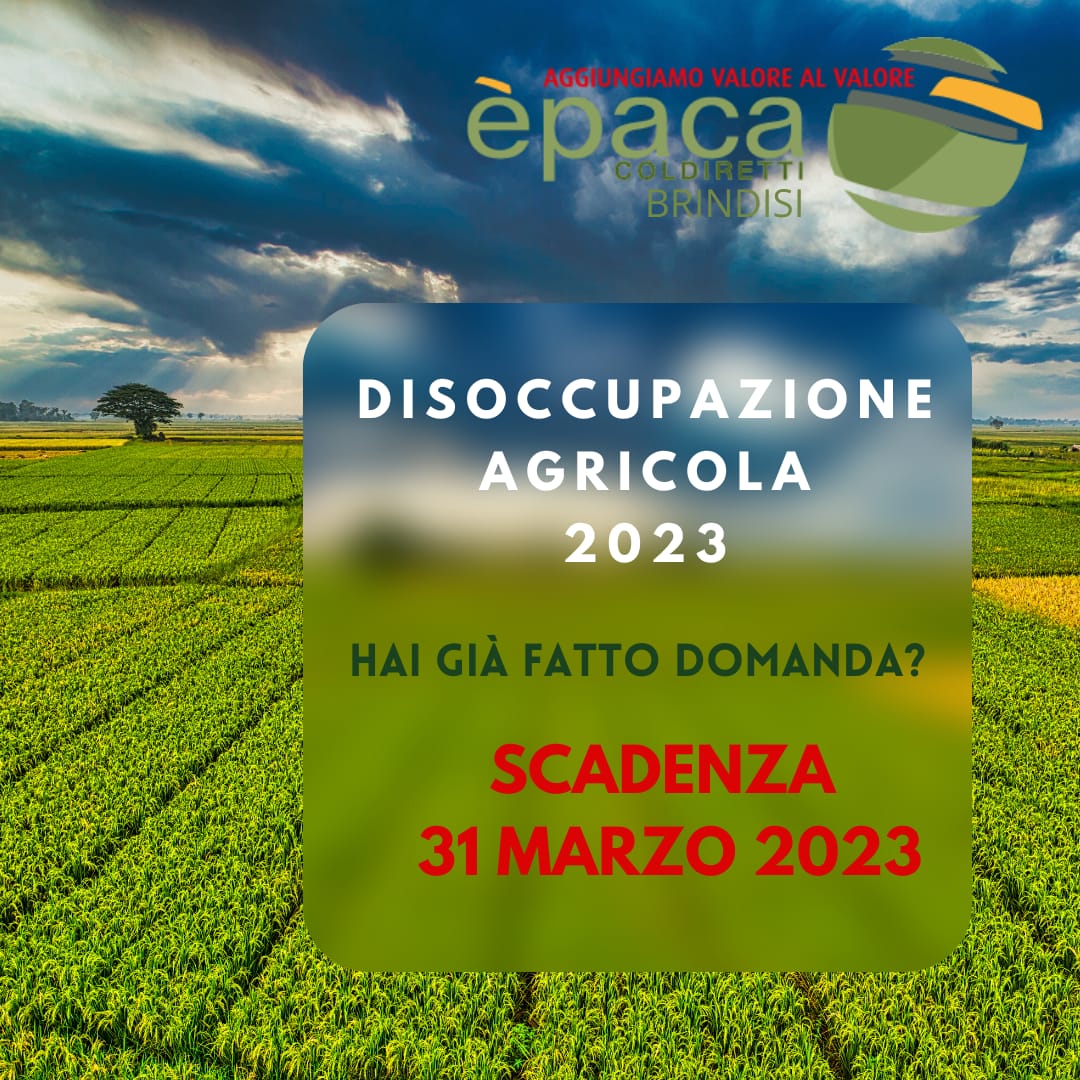 Epaca Coldiretti Brindisi: aperta la campagna delle Disoccupazioni Agricole 2023 - Pugliapress New