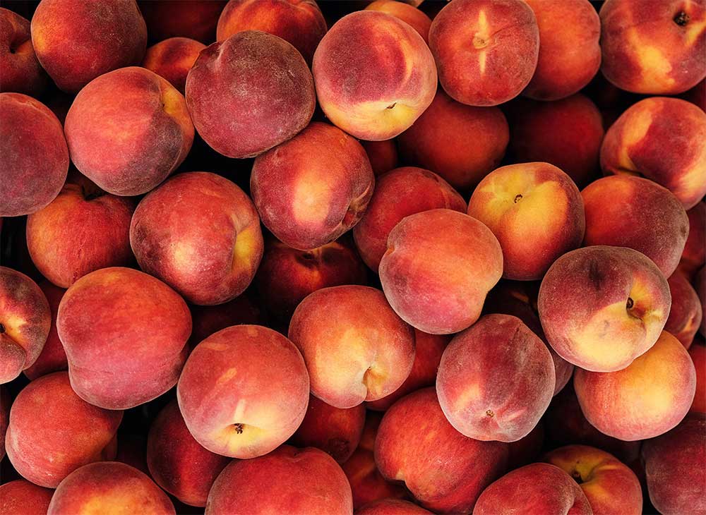 Guardie campestri fermano ladri di pesche - Pugliapress New