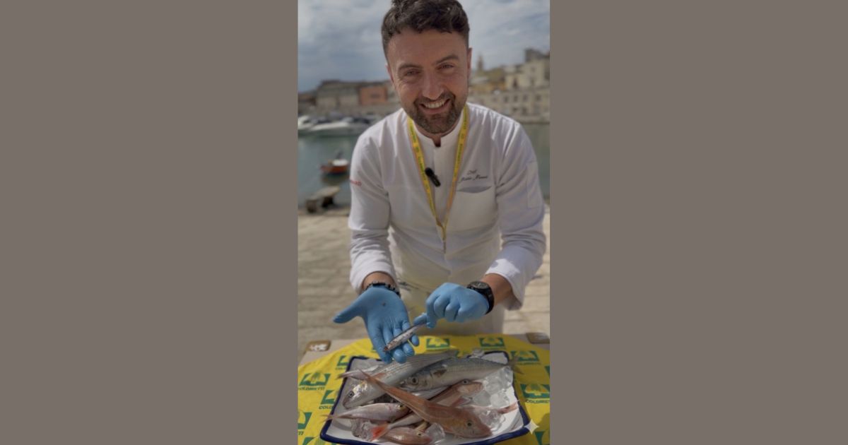 Biodiversità marina, a Bisceglie bambini a lezione di pescato locale ...