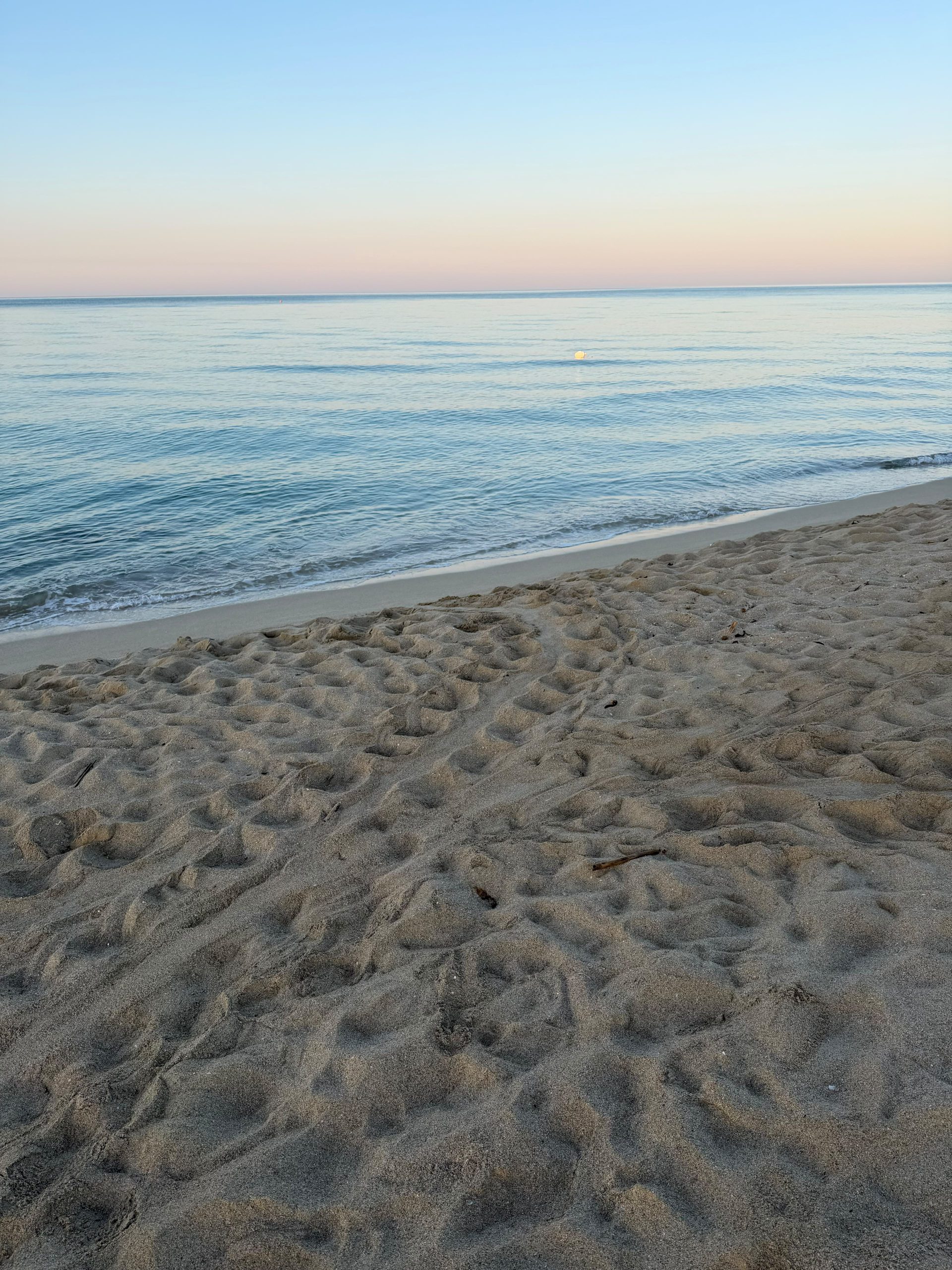 Ugento, primo nido di caretta caretta sulla costa - Notizie Puglia ...